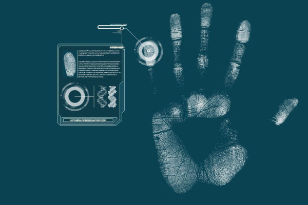 X-ray Wallpapers - Top Free X-ray Backgrounds - WallpaperAccess