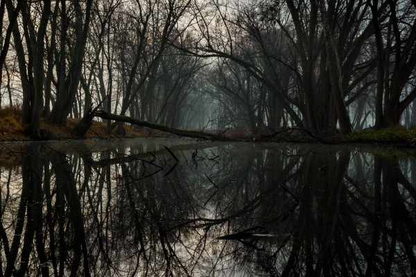 Cool Scary Wallpapers - Top Free Cool Scary Backgrounds - WallpaperAccess