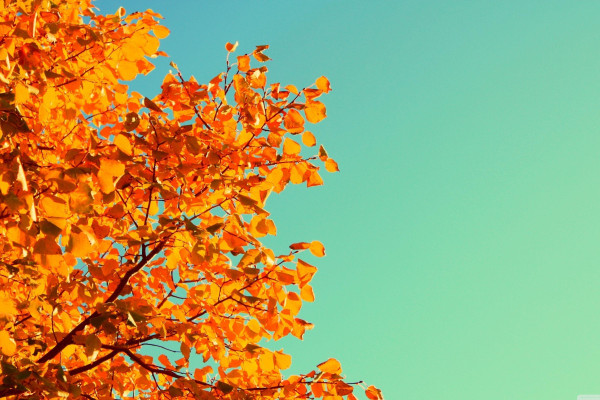 Fall October Wallpapers - Top Free Fall October Backgrounds ...