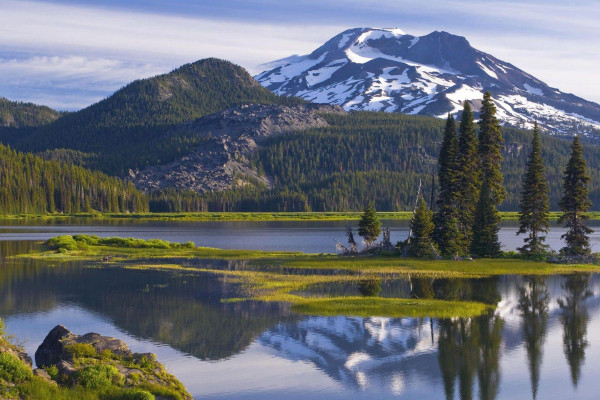 Oregon Forest Night Wallpapers - Top Free Oregon Forest Night ...
