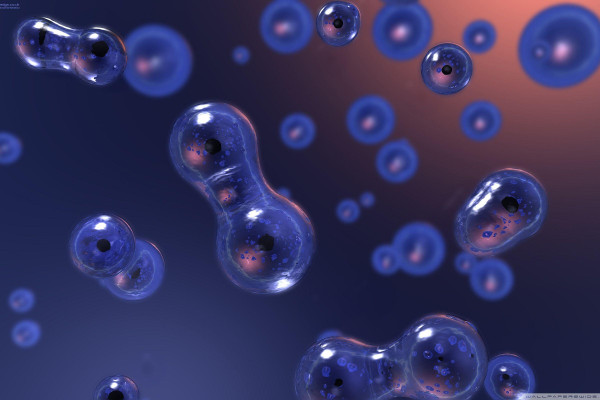 Genetics Wallpapers - Top Free Genetics Backgrounds - WallpaperAccess