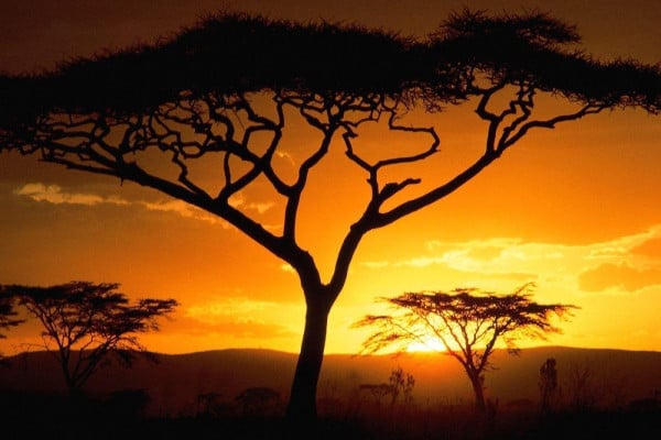 African Landscape Wallpapers - Top Free African Landscape Backgrounds ...