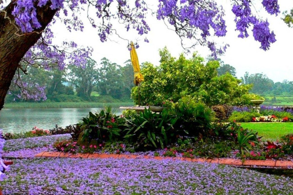 Beautiful Snow Wallpapers - Top Free Beautiful Snow Backgrounds ...