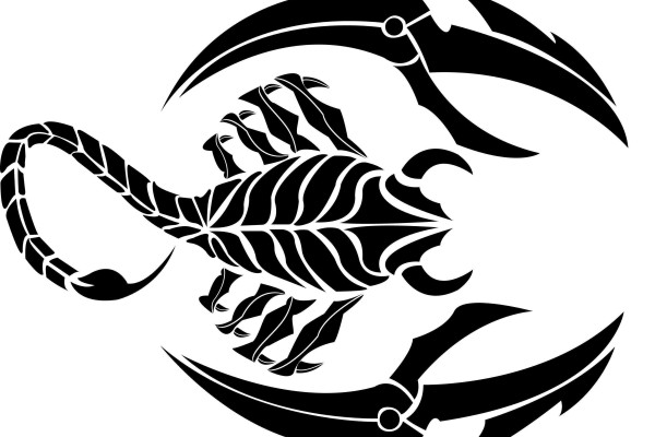 Red Scorpion Wallpapers - Top Free Red Scorpion Backgrounds ...