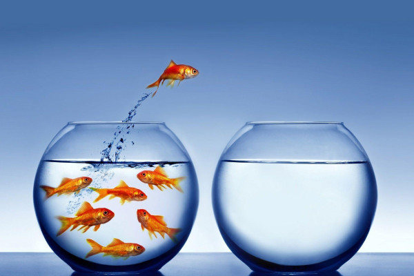 Detailed Wallpapers - Top Free Detailed Backgrounds - WallpaperAccess