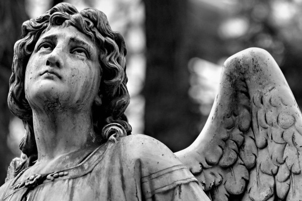 Fire Angel Wallpapers - Top Free Fire Angel Backgrounds - WallpaperAccess