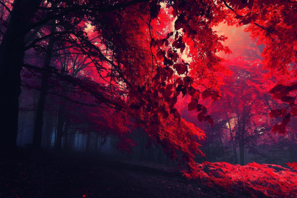 Clean Red Wallpapers - Top Free Clean Red Backgrounds - WallpaperAccess