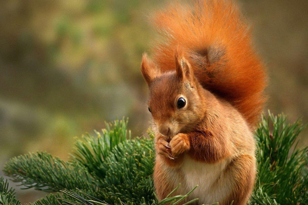 HD Environment Wallpapers - Top Free HD Environment Backgrounds ...