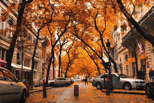 Autumn City Wallpapers - Top Free Autumn City Backgrounds - WallpaperAccess