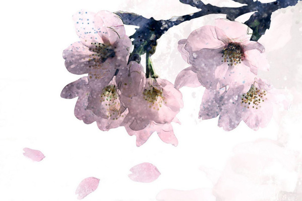 Korean Abstract Wallpapers - Top Free Korean Abstract Backgrounds ...