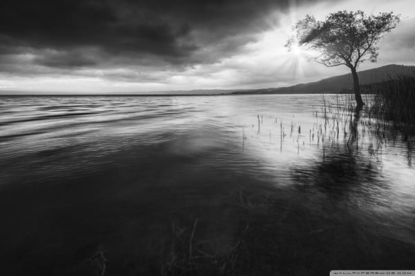 Black and White Gradient Wallpapers - Top Free Black and White Gradient ...