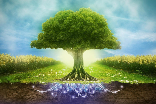 Electrical Engineering Wallpapers - Top Free Electrical Engineering ...