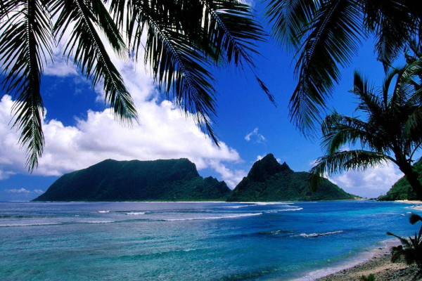 Cool Samoan Wallpapers - Top Free Cool Samoan Backgrounds - WallpaperAccess