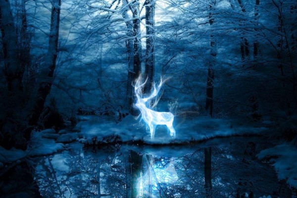 Harry Potter Landscape Wallpapers - Top Free Harry Potter Landscape ...