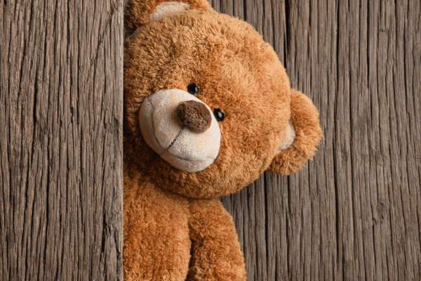 Teddy Wallpapers - Top Free Teddy Backgrounds - WallpaperAccess