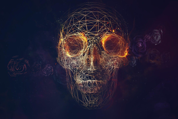 Abstract Skull Wallpapers - Top Free Abstract Skull Backgrounds ...