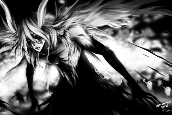 Bleach Shunsui Wallpapers - Top Free Bleach Shunsui Backgrounds ...