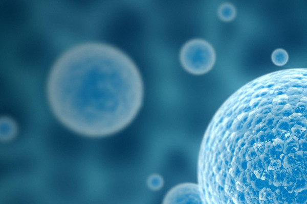 Biomedical Wallpapers - Top Free Biomedical Backgrounds - WallpaperAccess