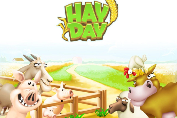 Hay Field Wallpapers - Top Free Hay Field Backgrounds - WallpaperAccess