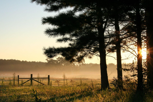 Alabama Wallpapers - Top Free Alabama Backgrounds - WallpaperAccess