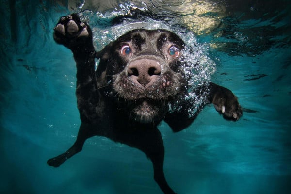 4K White Wallpapers - Top Free 4K White Backgrounds - WallpaperAccess