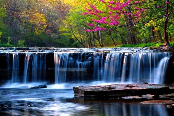 Forest Waterfall Wallpapers - Top Free Forest Waterfall Backgrounds ...