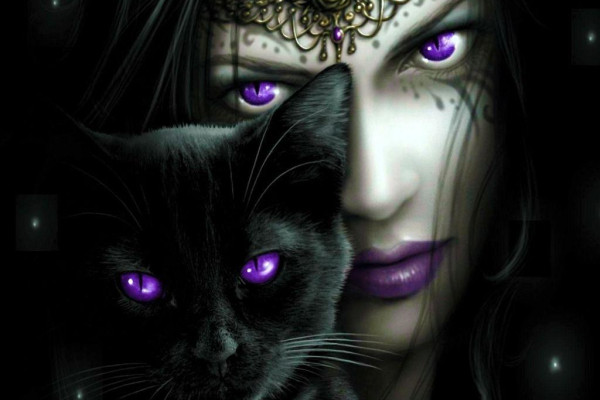 Fire Cat Wallpapers - Top Free Fire Cat Backgrounds - WallpaperAccess