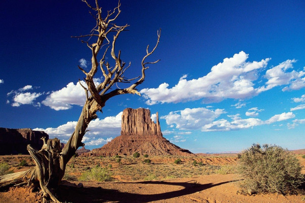 Western Wallpapers - Top Free Western Backgrounds - WallpaperAccess