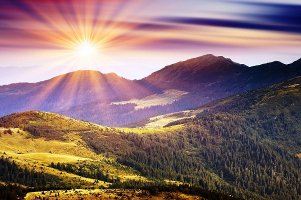 Courage Wallpapers - Top Free Courage Backgrounds - WallpaperAccess