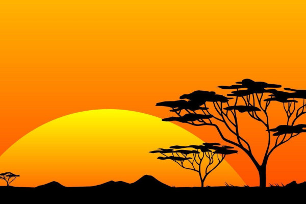African Culture Wallpapers - Top Free African Culture Backgrounds ...