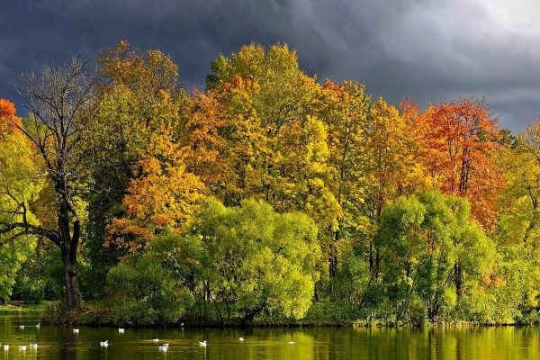 Nature Scenes Wallpapers - Top Free Nature Scenes Backgrounds ...