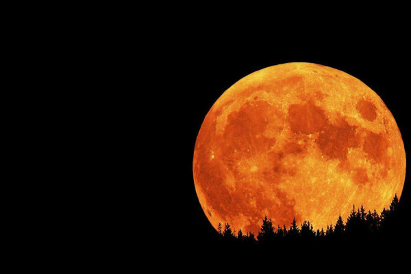 Pink Moon Wallpapers - Top Free Pink Moon Backgrounds - WallpaperAccess