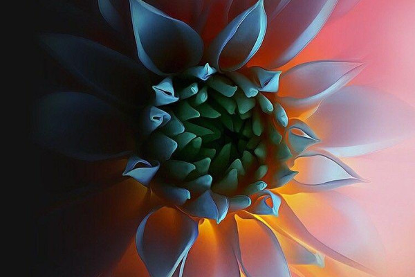 Super HD Wallpapers - Top Free Super HD Backgrounds - WallpaperAccess