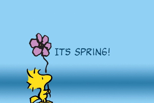 Hello October Snoopy Wallpapers - Top Free Hello October Snoopy ...