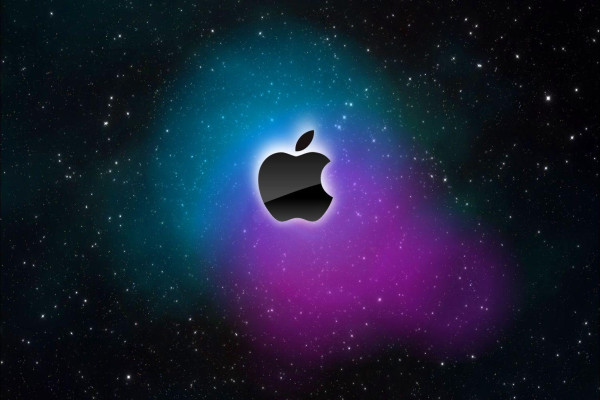 Bunga Wallpapers - Top Free Bunga Backgrounds - WallpaperAccess