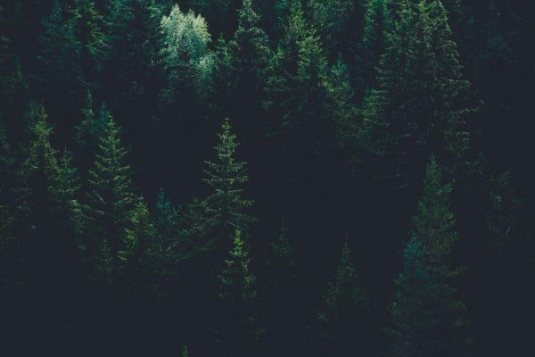 Dark Green Desktop Wallpapers - Top Free Dark Green Desktop Backgrounds ...