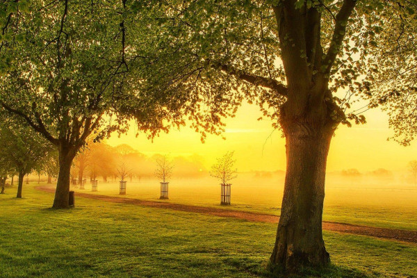 Morning Sunshine Wallpapers - Top Free Morning Sunshine Backgrounds ...