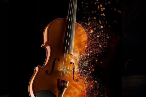 Viola Wallpapers - Top Free Viola Backgrounds - WallpaperAccess