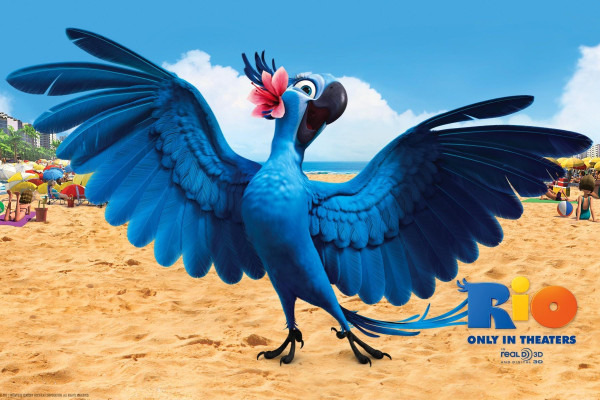 Rio Wallpapers - Top Free Rio Backgrounds - WallpaperAccess