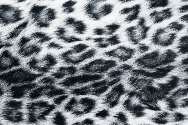 Tiger Print Wallpapers - Top Free Tiger Print Backgrounds - WallpaperAccess