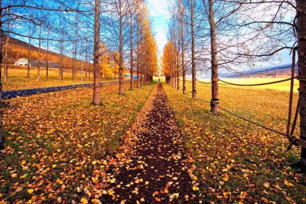 Fall November Mountains Wallpapers - Top Free Fall November Mountains ...