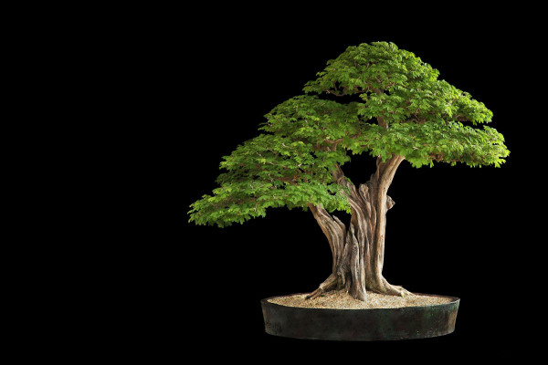 ENSO iPhone Wallpapers - Top Free ENSO iPhone Backgrounds - WallpaperAccess