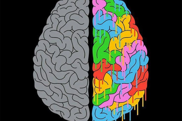 Galaxy Brain Wallpapers - Top Free Galaxy Brain Backgrounds ...