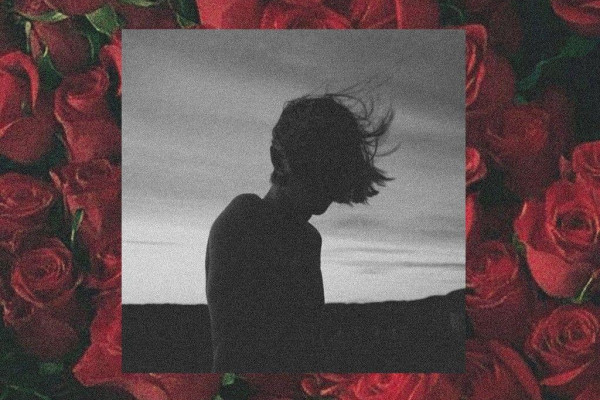 LinaBell Wallpapers - Top Free LinaBell Backgrounds - WallpaperAccess