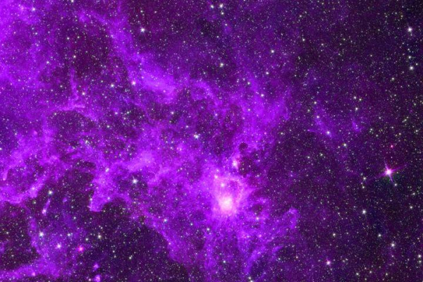 Black Violet Wallpapers - Top Free Black Violet Backgrounds ...