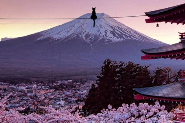 Cool Japanese Wallpapers - Top Free Cool Japanese Backgrounds ...