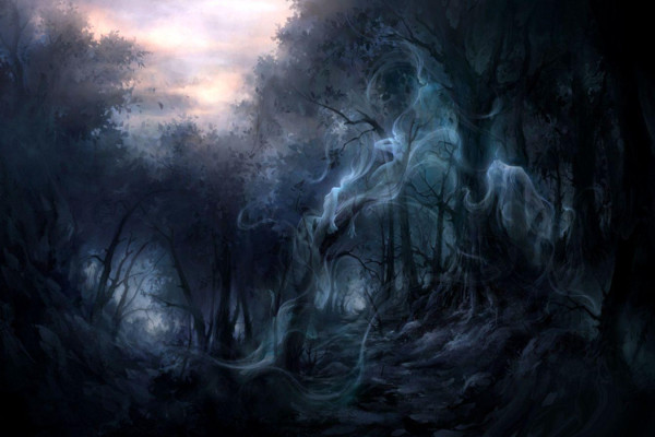 Misty Forest Wallpapers - Top Free Misty Forest Backgrounds ...