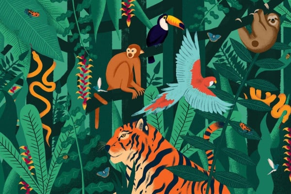 Amazing Animal Wallpapers - Top Free Amazing Animal Backgrounds ...