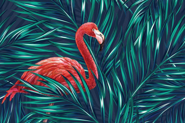 4K Flamingo Wallpapers - Top Free 4K Flamingo Backgrounds - WallpaperAccess