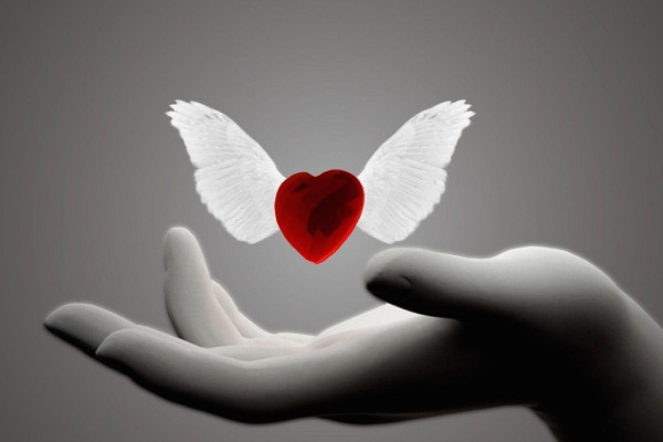Angel Wings Wallpapers - Top Free Angel Wings Backgrounds - WallpaperAccess
